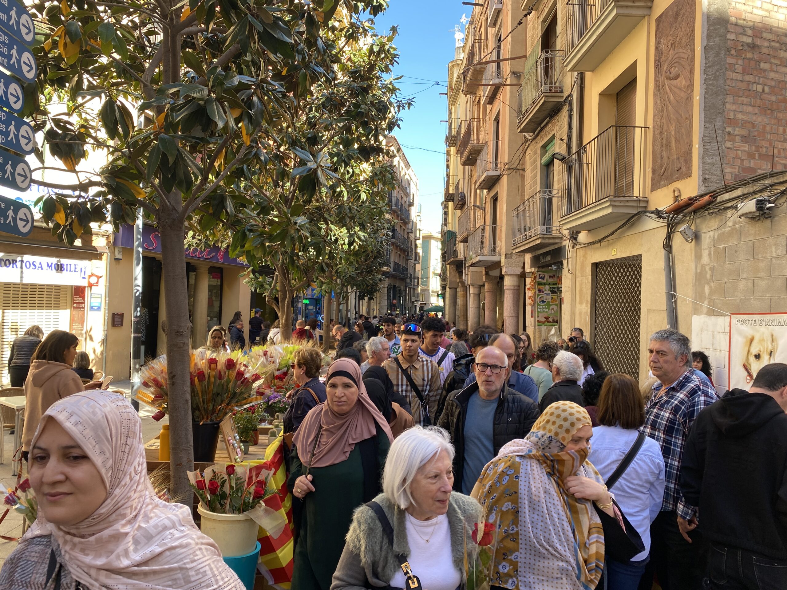 Tortosa – Marfanta